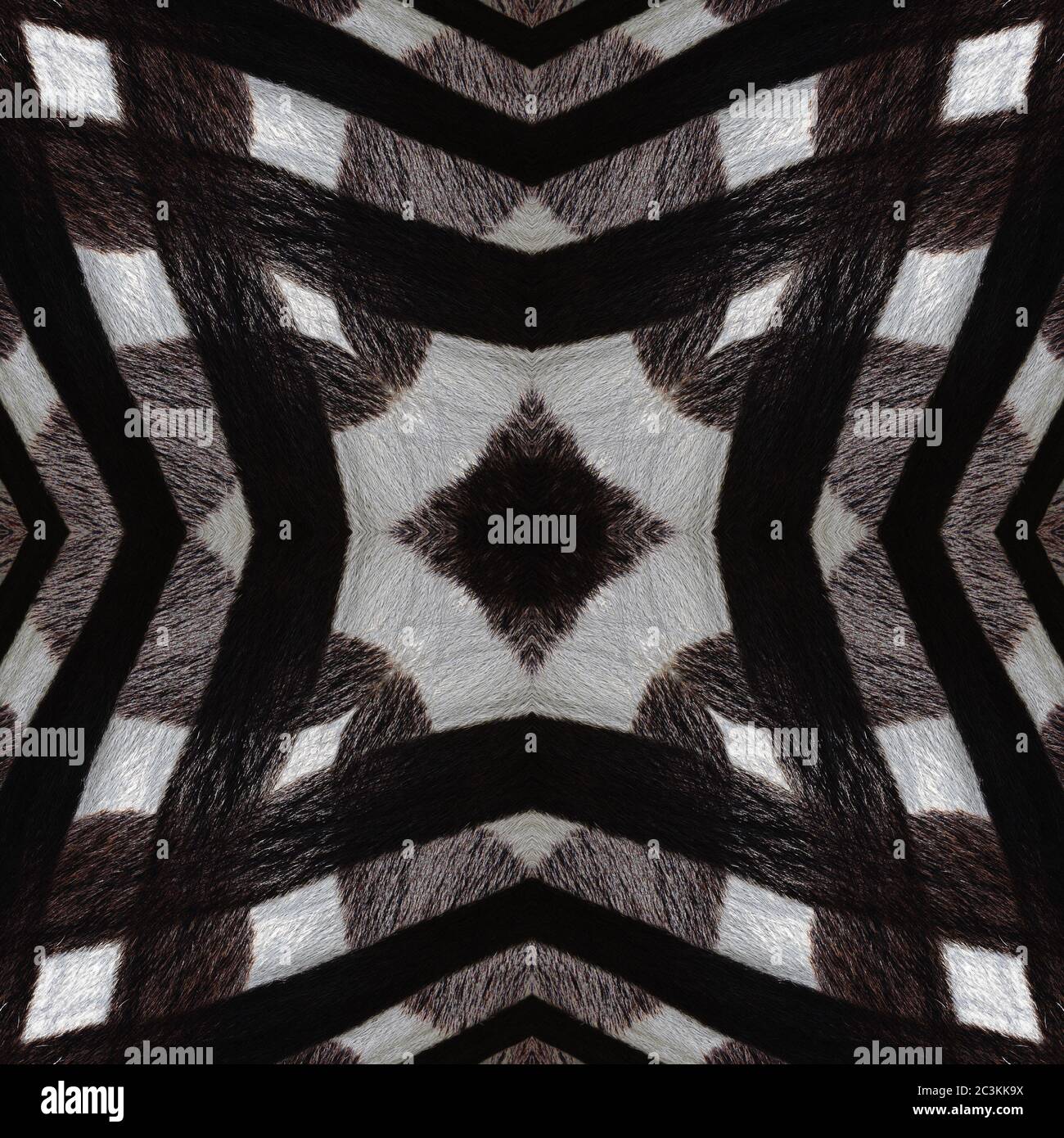 Abstract hair hi-res stock photography and images - Alamy