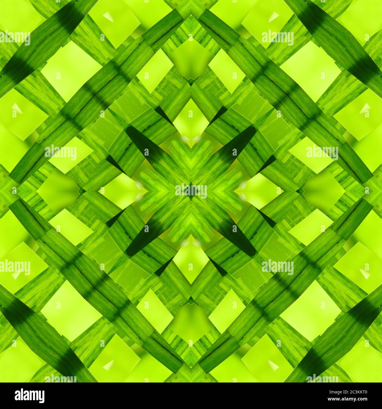 Seamless symmetrical pattern abstract green leaves texture Stock Photo ...