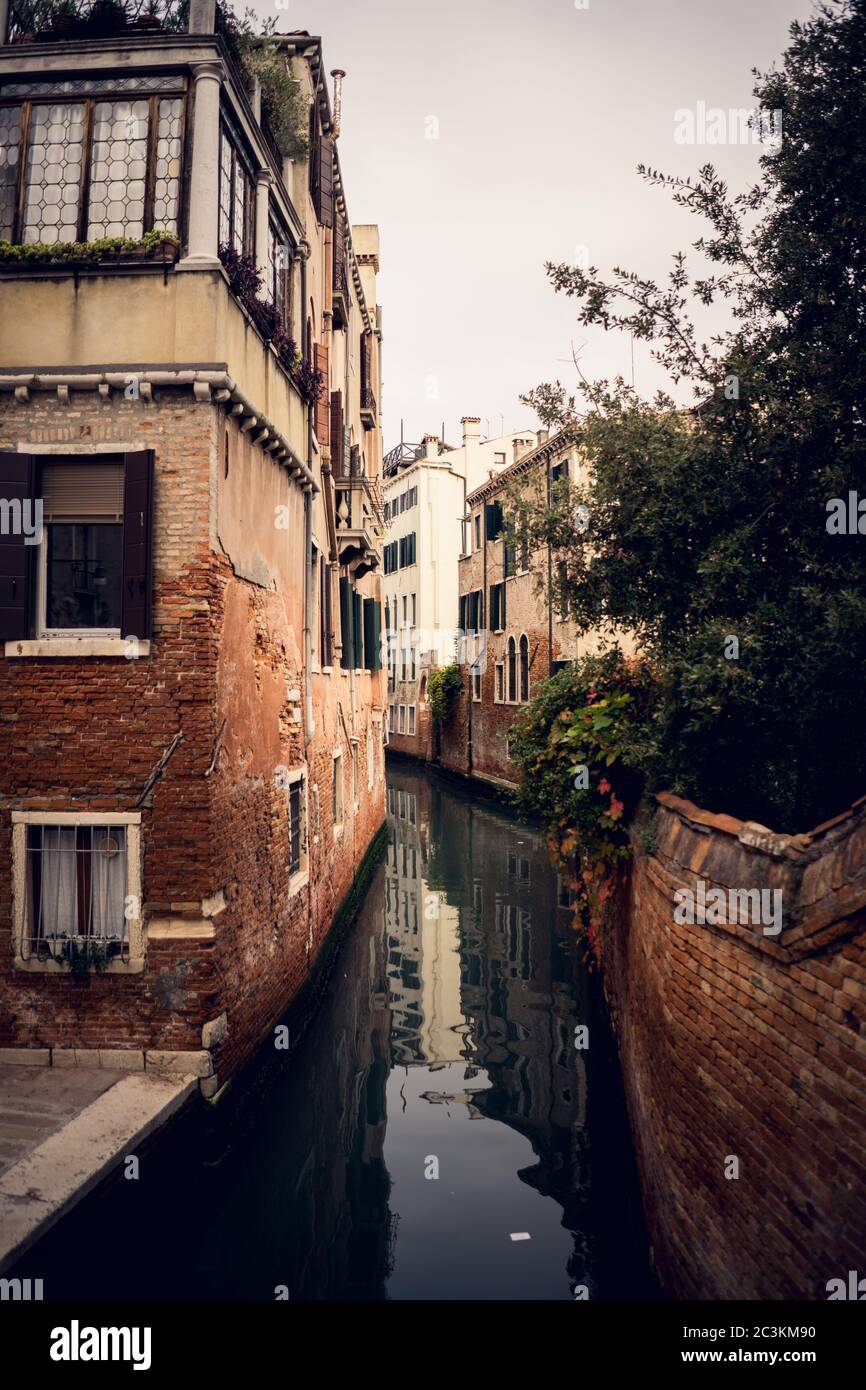 Vertical picture of a channel with old buildings and greenery in Venice ...