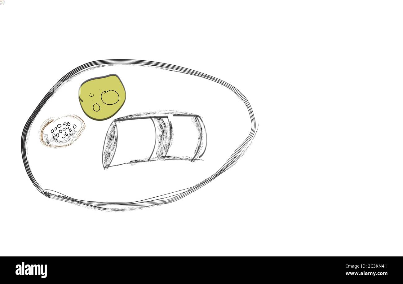 illustration of traditional Kerala food puttu with pappadam and kadala ...