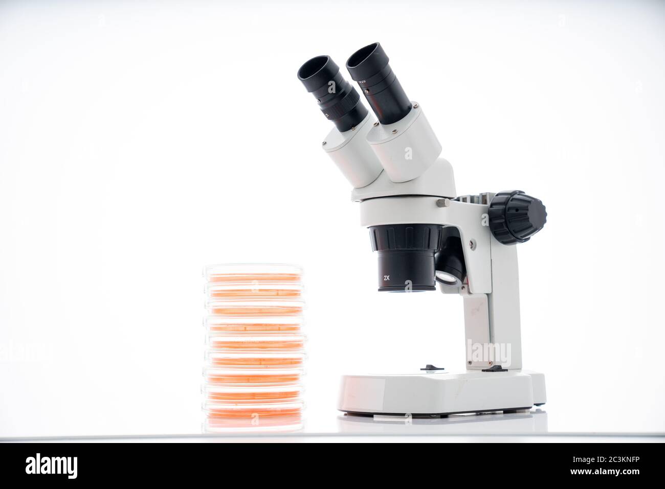 microscope, petri dishes in microbiological laboratory Stock Photo - Alamy