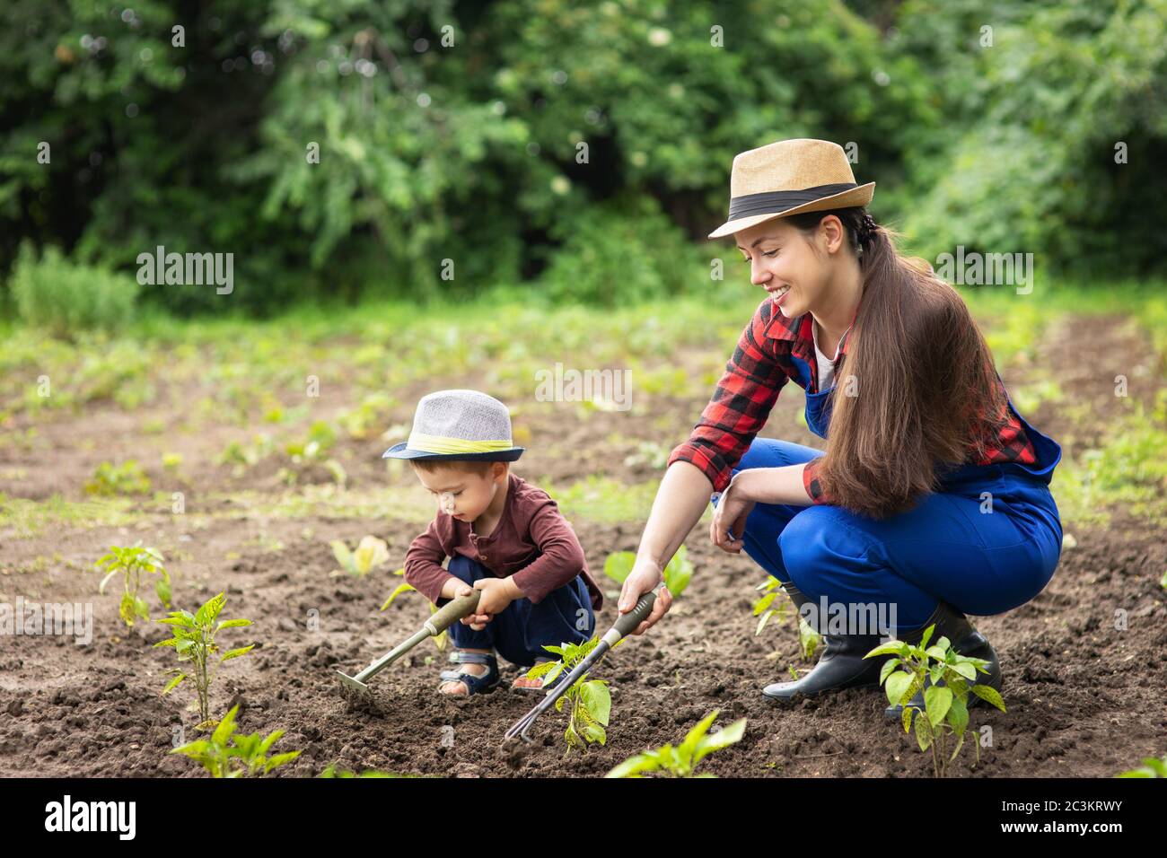 woman gardener and little boy weeding garden Stock Photo - Alamy