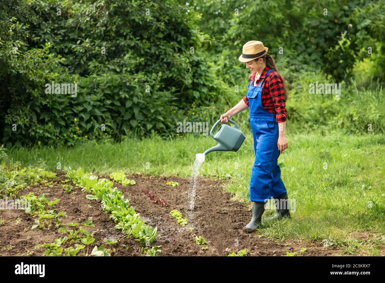 Beautiful gardener hi-res stock photography and images - Alamy