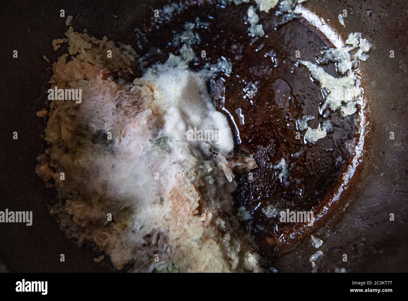 close up shot mouldy food. mould growing on rice. toxic food Stock ...