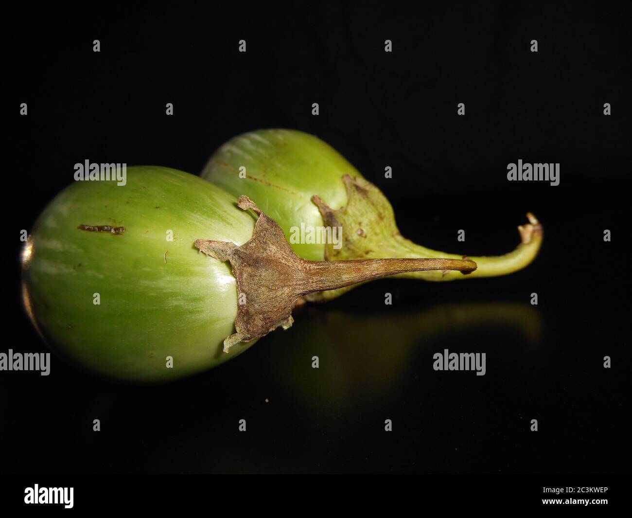 Brinjal farm hi-res stock photography and images - Alamy
