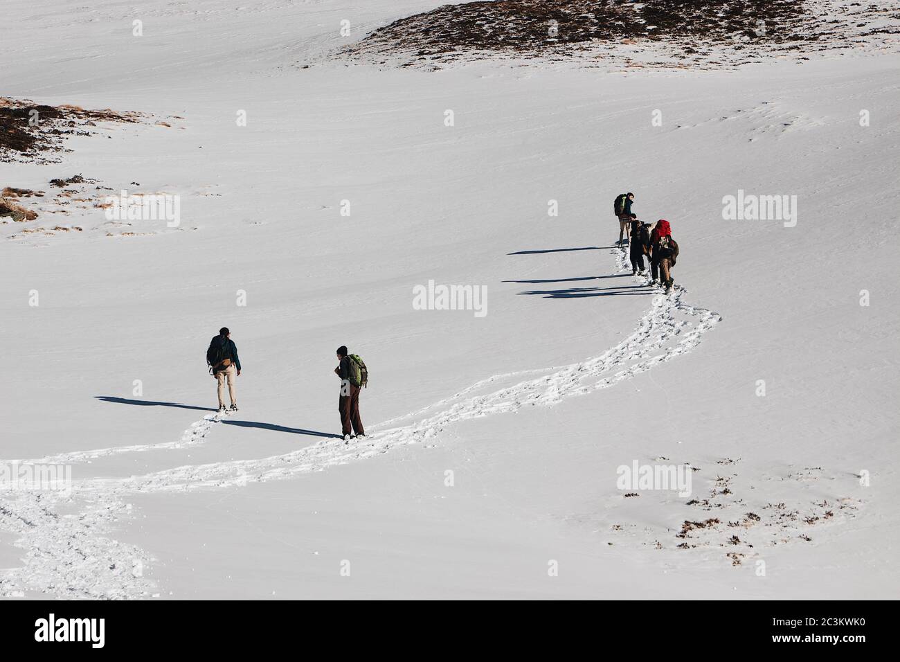 Tourists with backpacks climbing the snowy mountain Stock Photo - Alamy