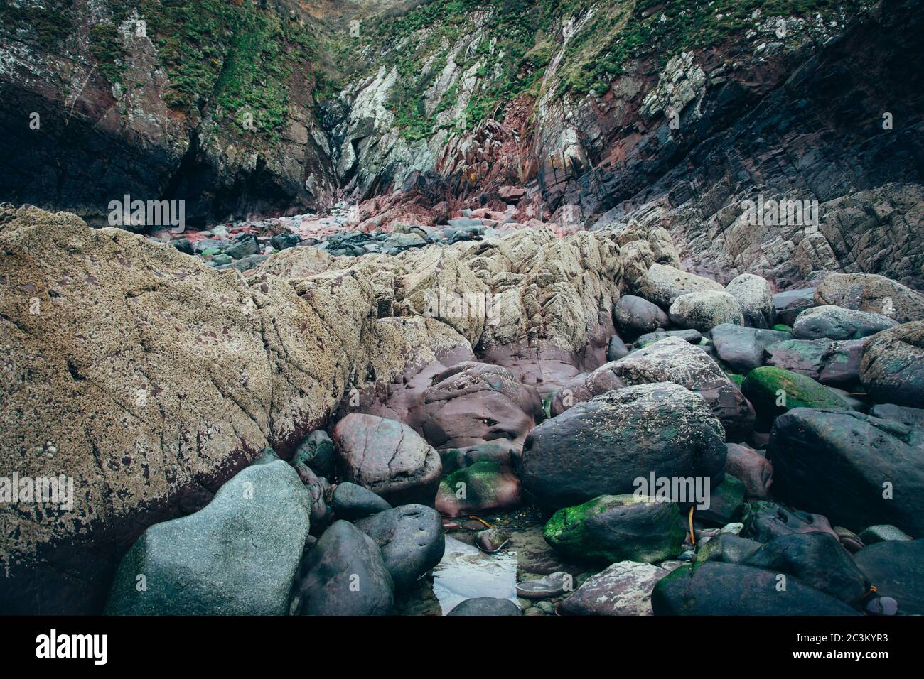 Dry river bed with many boulders and stones Stock Photo - Alamy