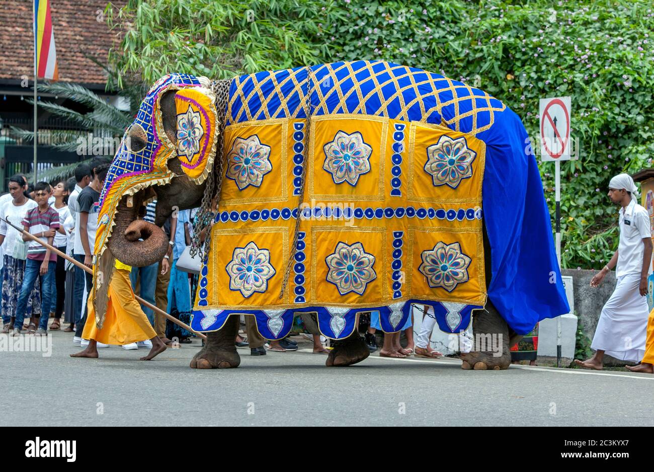 A ceremonial elephant is moved into position prior to the start of the ...