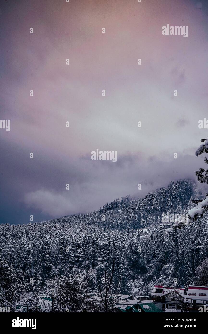 Vertical shot of Manali with beautiful scenery of snowfall in the ...