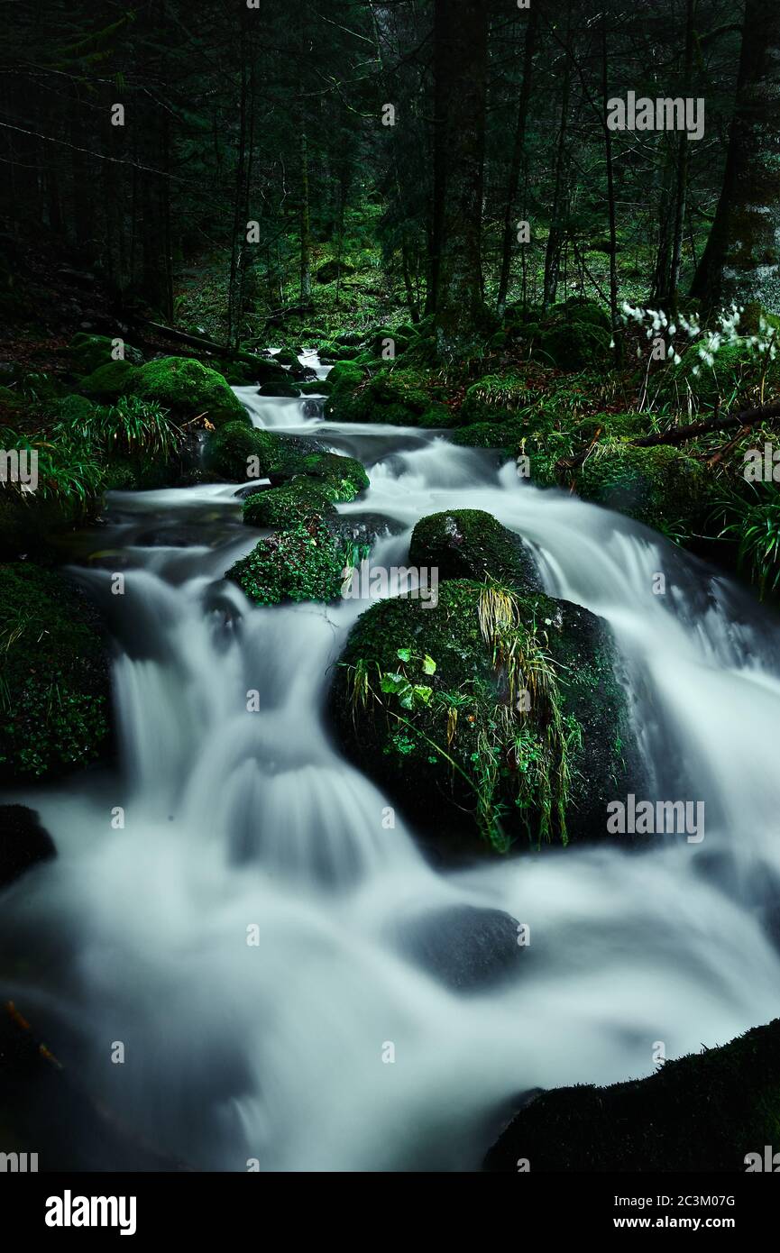 Vertical shot of a water stream in the forest Stock Photo - Alamy