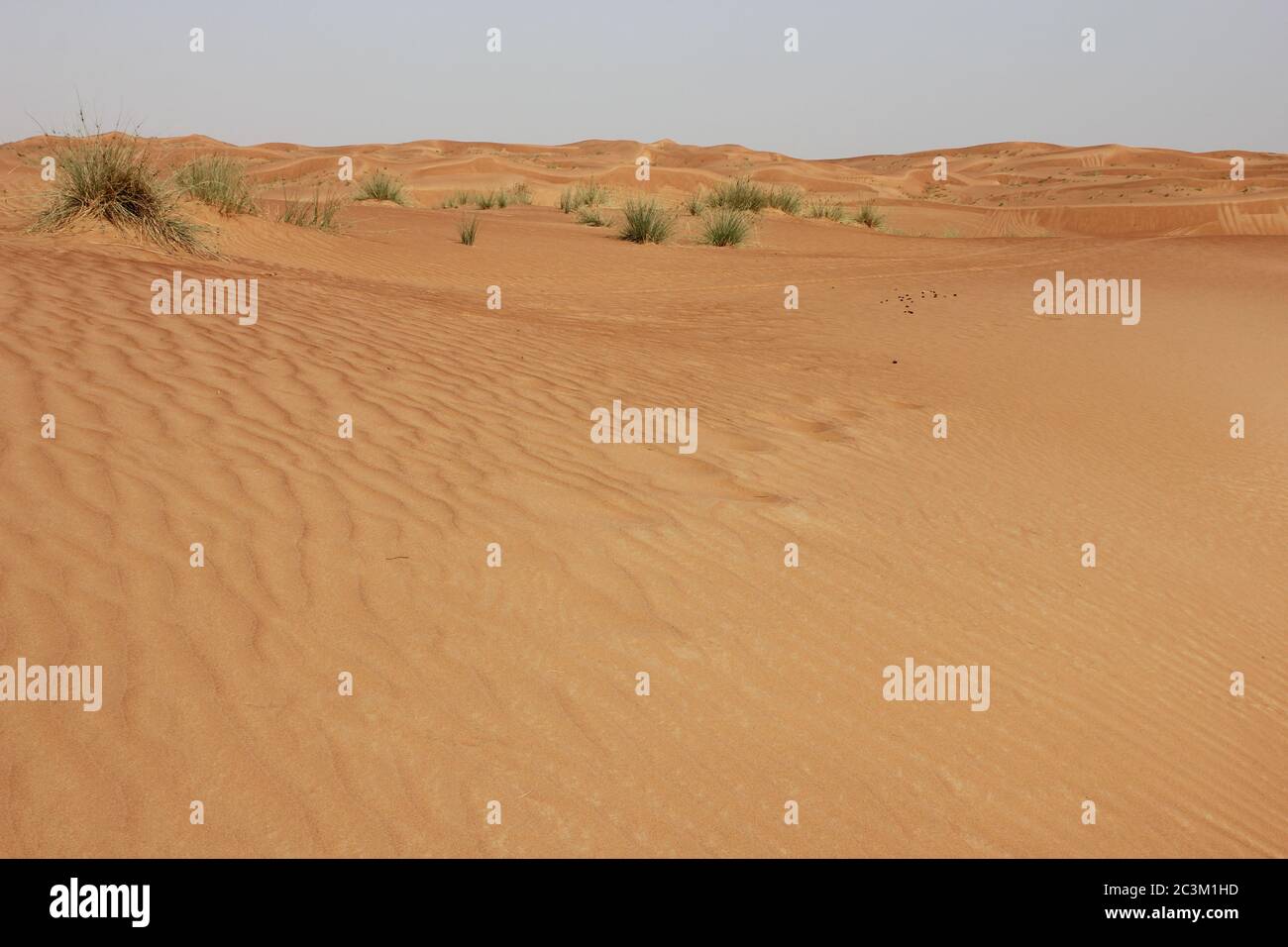 Beautiful sand ripples in Arabian desert sand dunes. Wind action ...