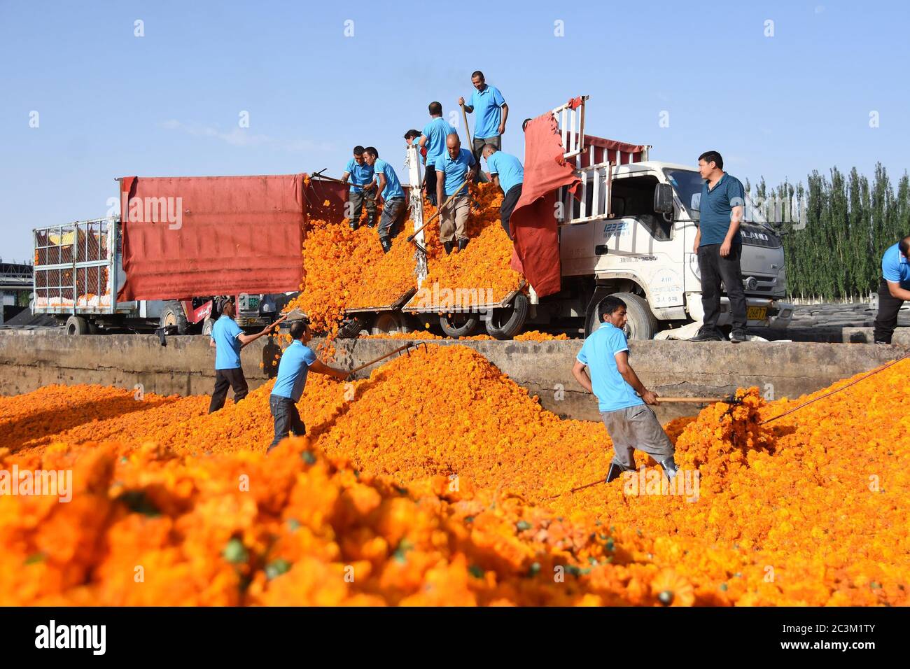 Shache, China's Xinjiang Uygur Autonomous Region. 21st July, 2019 ...