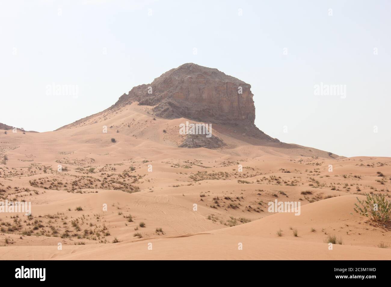 Fossil Rock is an iconic rock formation bearing marine fossils in arid ...