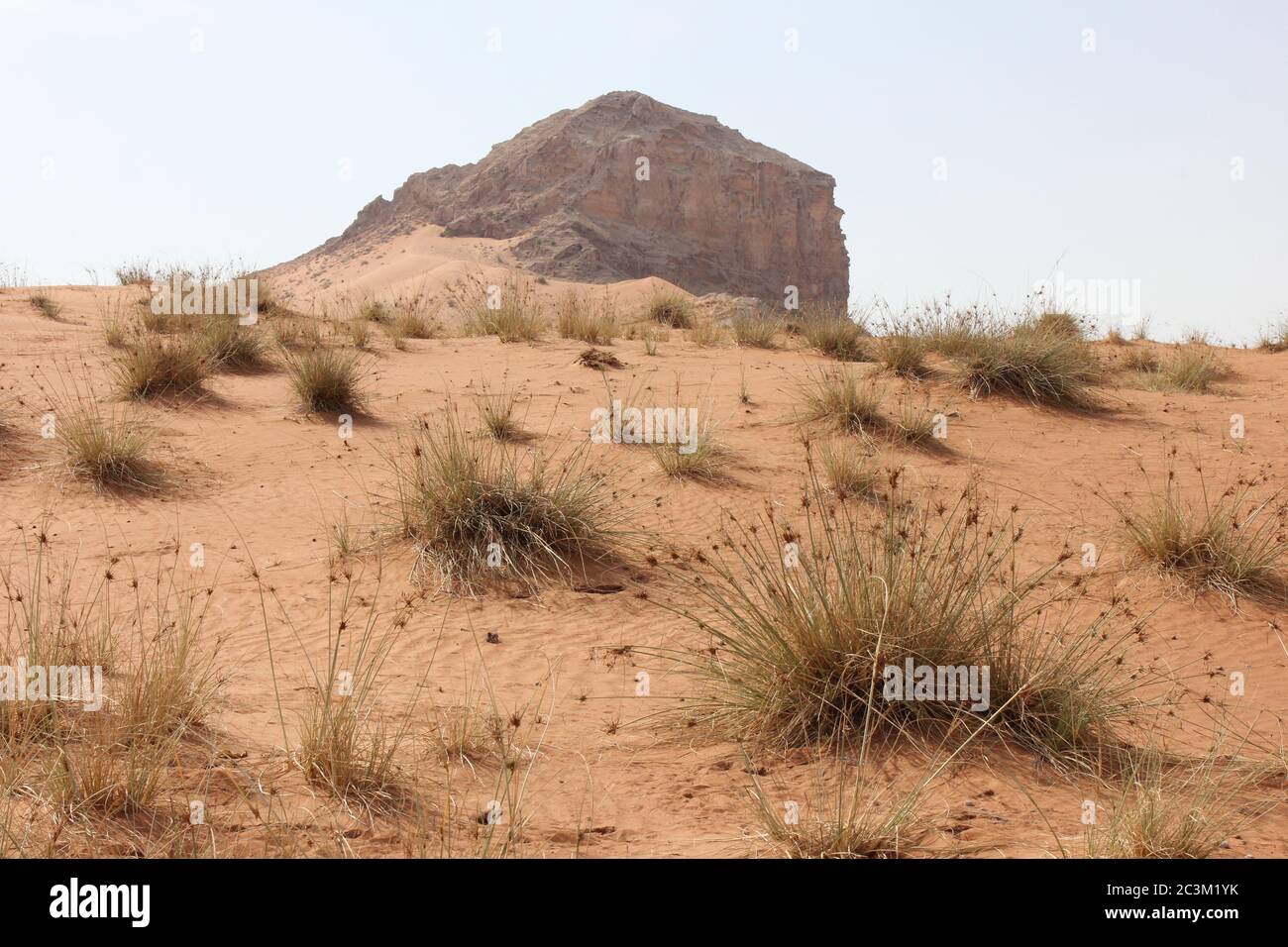 Fossil Rock is an iconic rock formation bearing marine fossils in arid ...