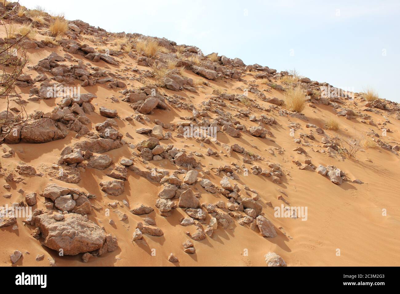 Fossil Rock is an iconic rock formation bearing marine fossils in arid ...