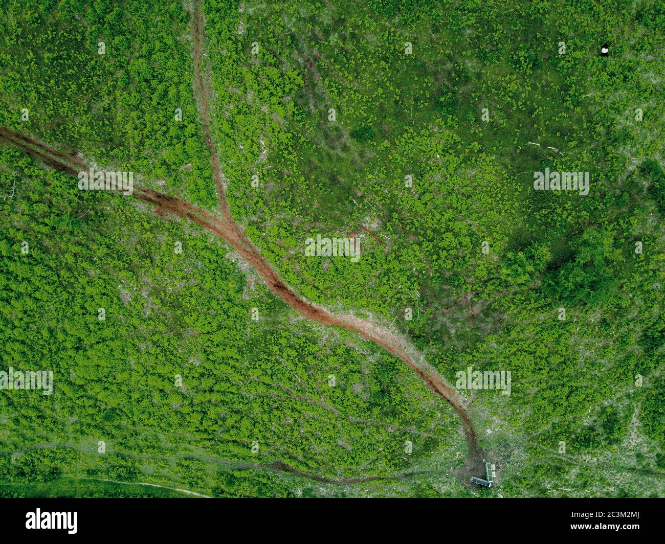 High angle shot of a beautiful green landscape with pathways near Hardy ...