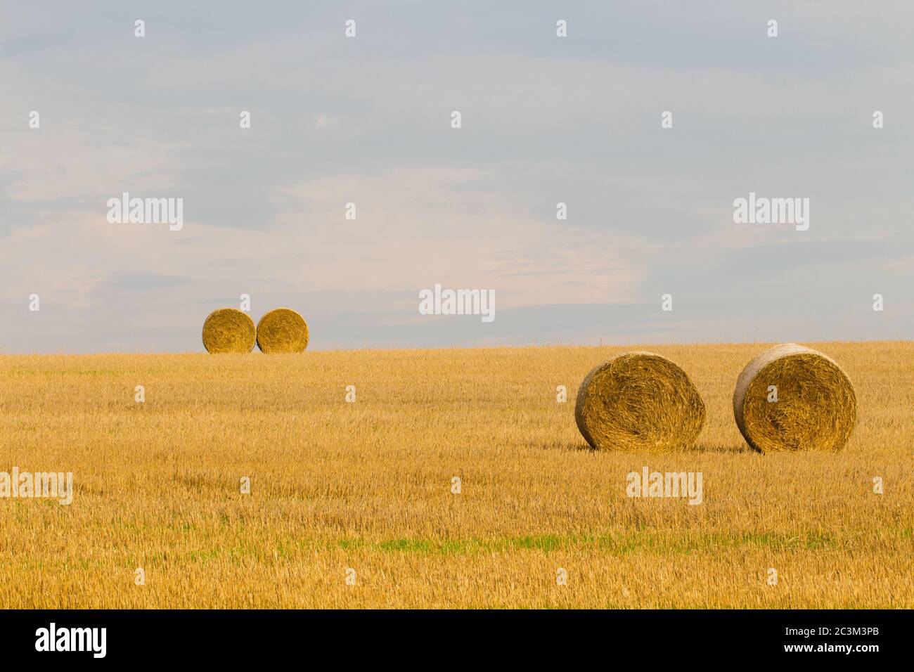 Hey rolls hi-res stock photography and images - Alamy
