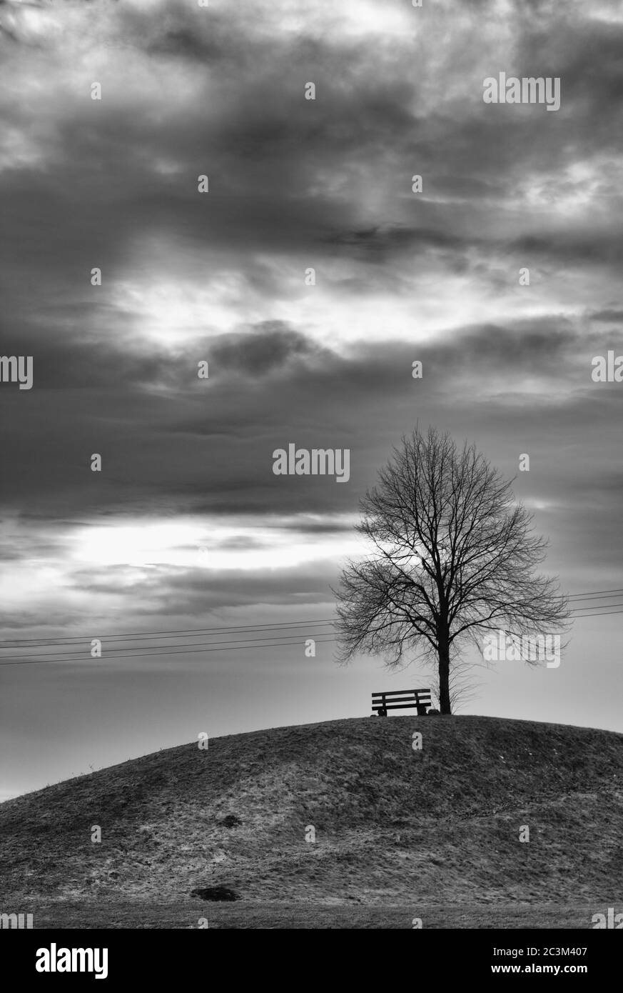 Vertical greyscale shot of an empty bench and a tree under the dark sky ...
