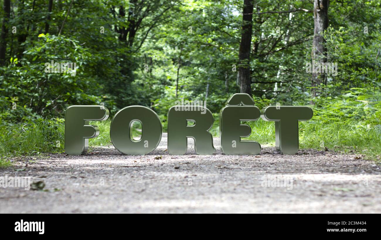 For t Is The French Word For Forest 3D Rendering Stock Photo Alamy for-t-is-the-french-word-for-forest-3d-rendering-stock-photo-alamy