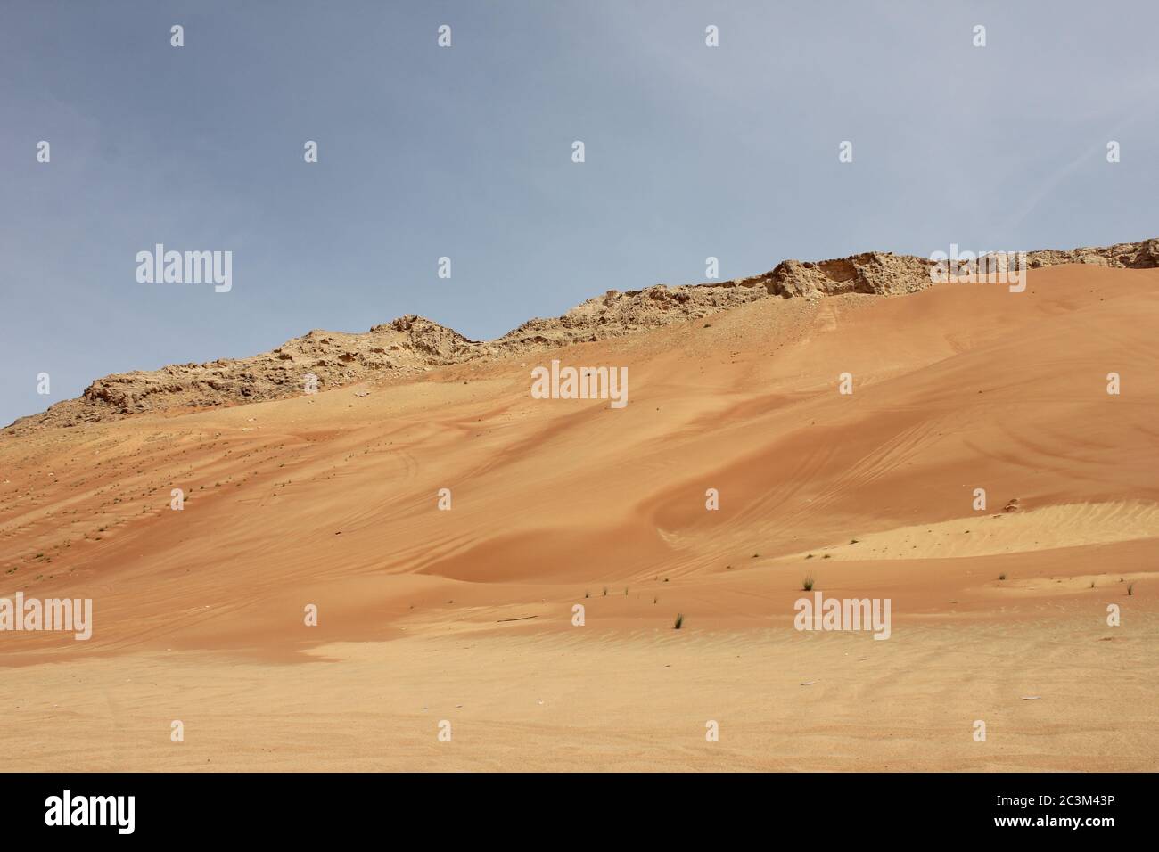Arabian desert sand dunes ecology/ecosystem. Wind action constantly ...