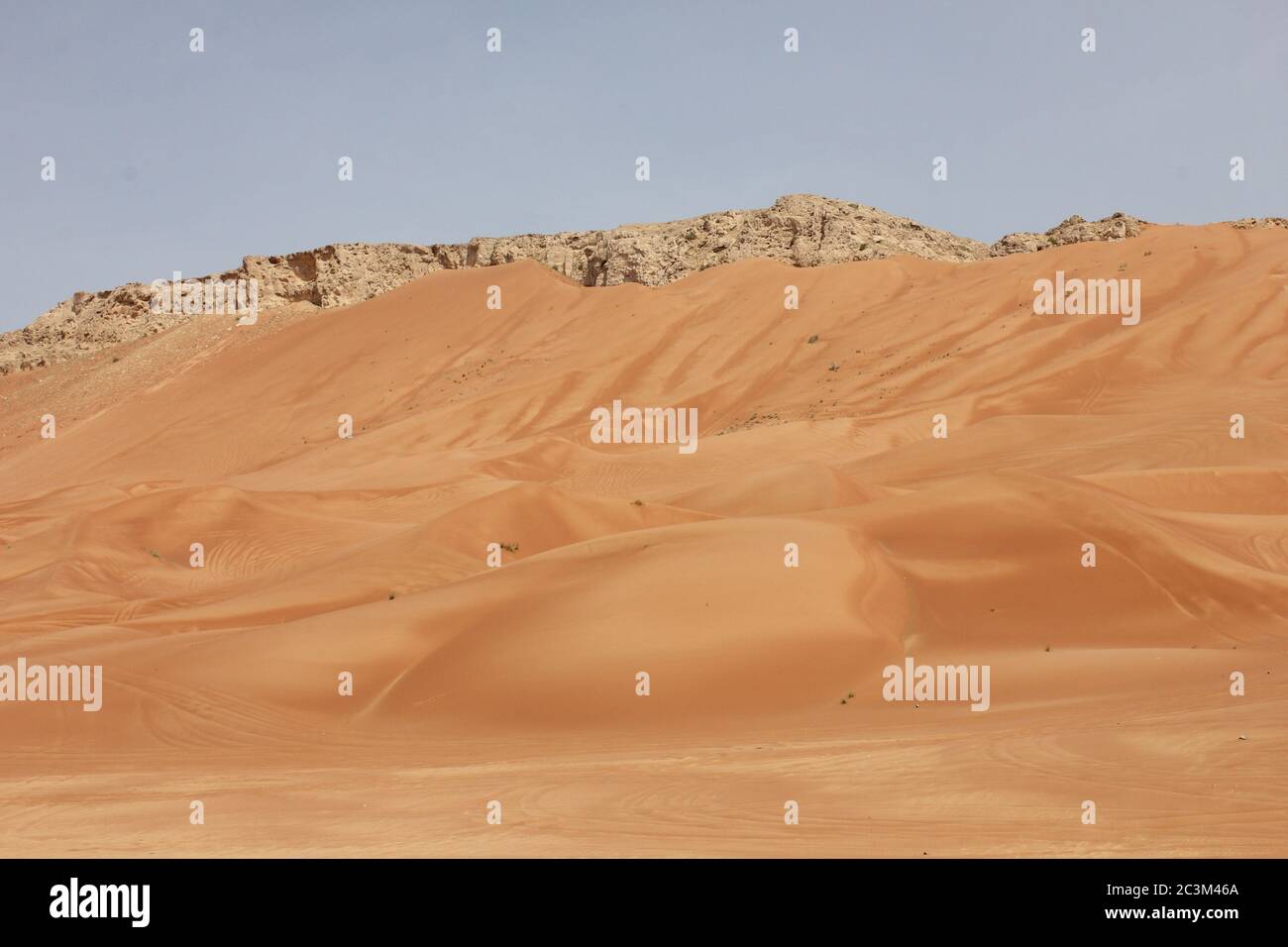 Arabian desert sand dunes ecology/ecosystem. Wind action constantly ...