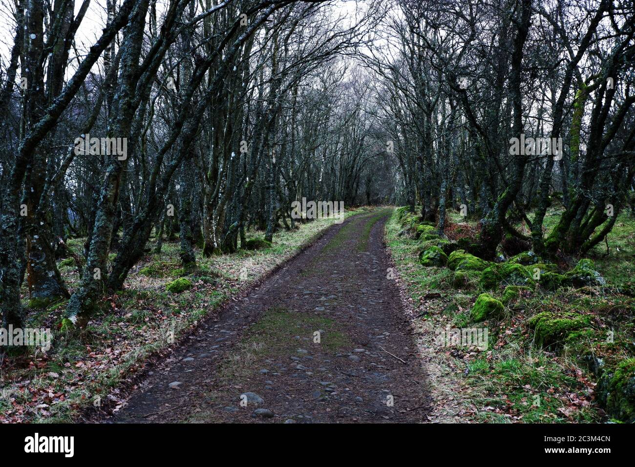 Horror creepy walk way hi-res stock photography and images - Alamy