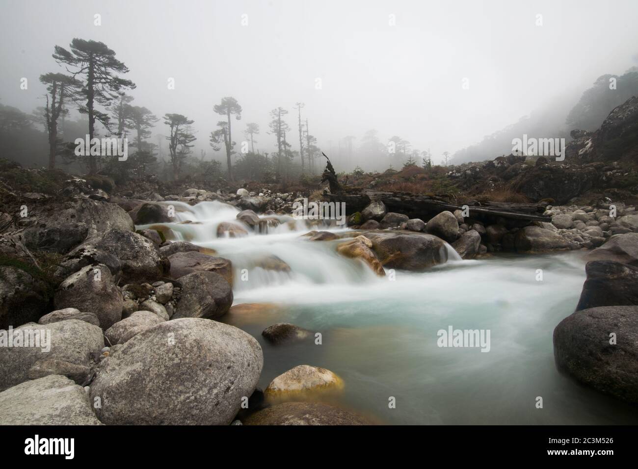 Breathtaking shot of a river stream on a foggy landscape background ...