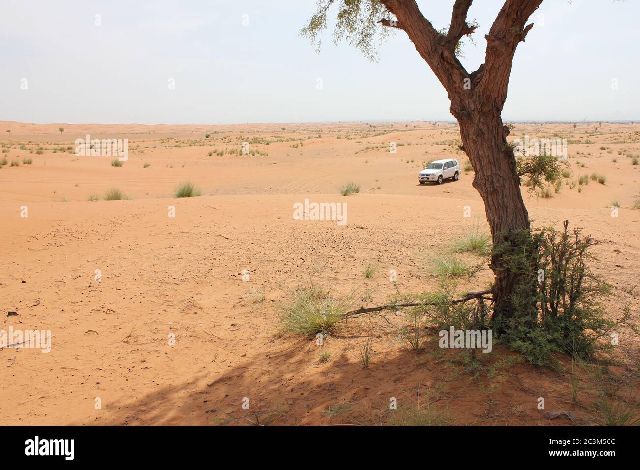 Toyota Prado 4WD (four wheel drive) vehicle, SUV, goes off-road in huge ...