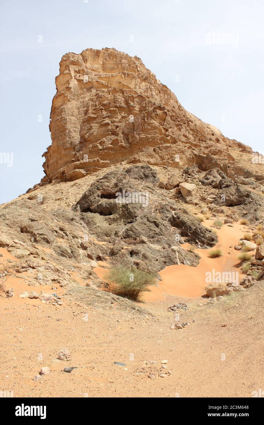 Fossil Rock is an iconic rock formation bearing marine fossils in arid ...