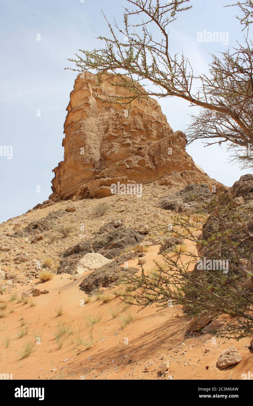 Fossil Rock is an iconic rock formation bearing marine fossils in arid ...