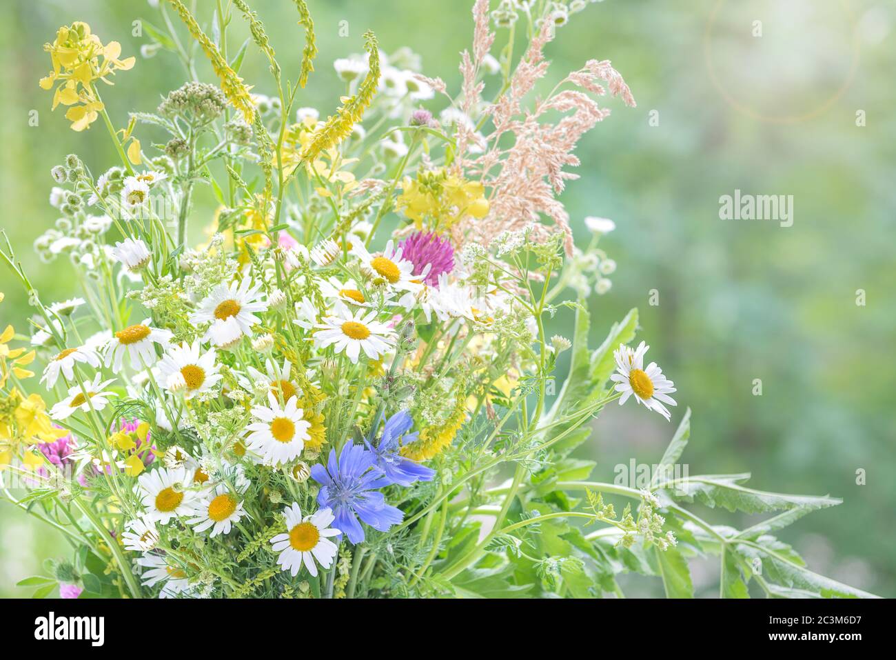 Bouquet of various multicolored wildflowers on natural green background ...