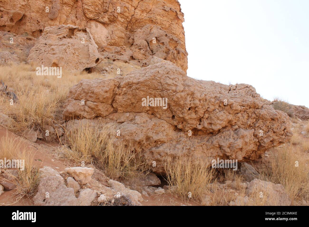 Fossil Rock is an iconic rock formation bearing marine fossils in arid ...