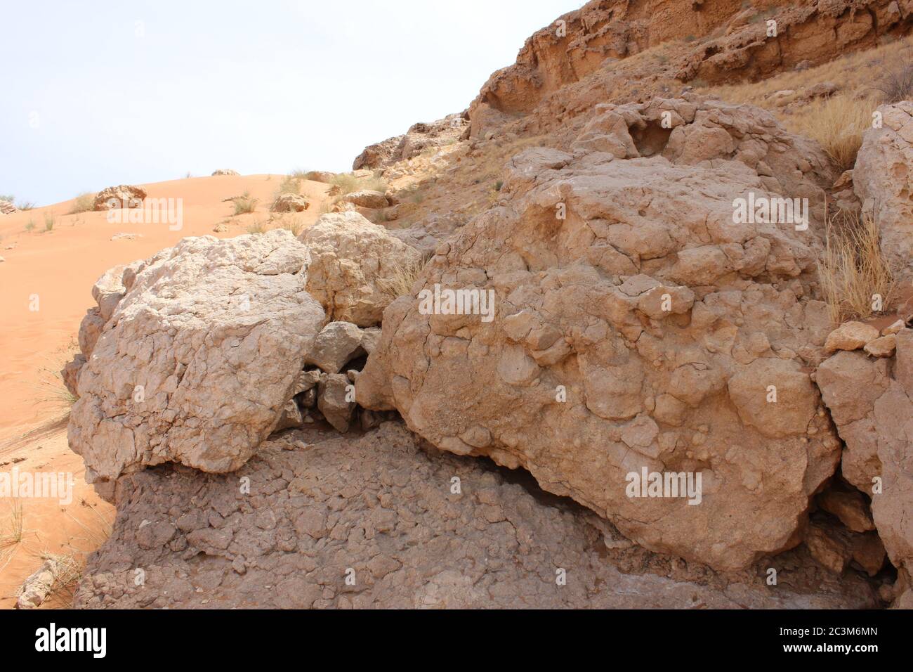 Fossil Rock is an iconic rock formation bearing marine fossils in arid ...