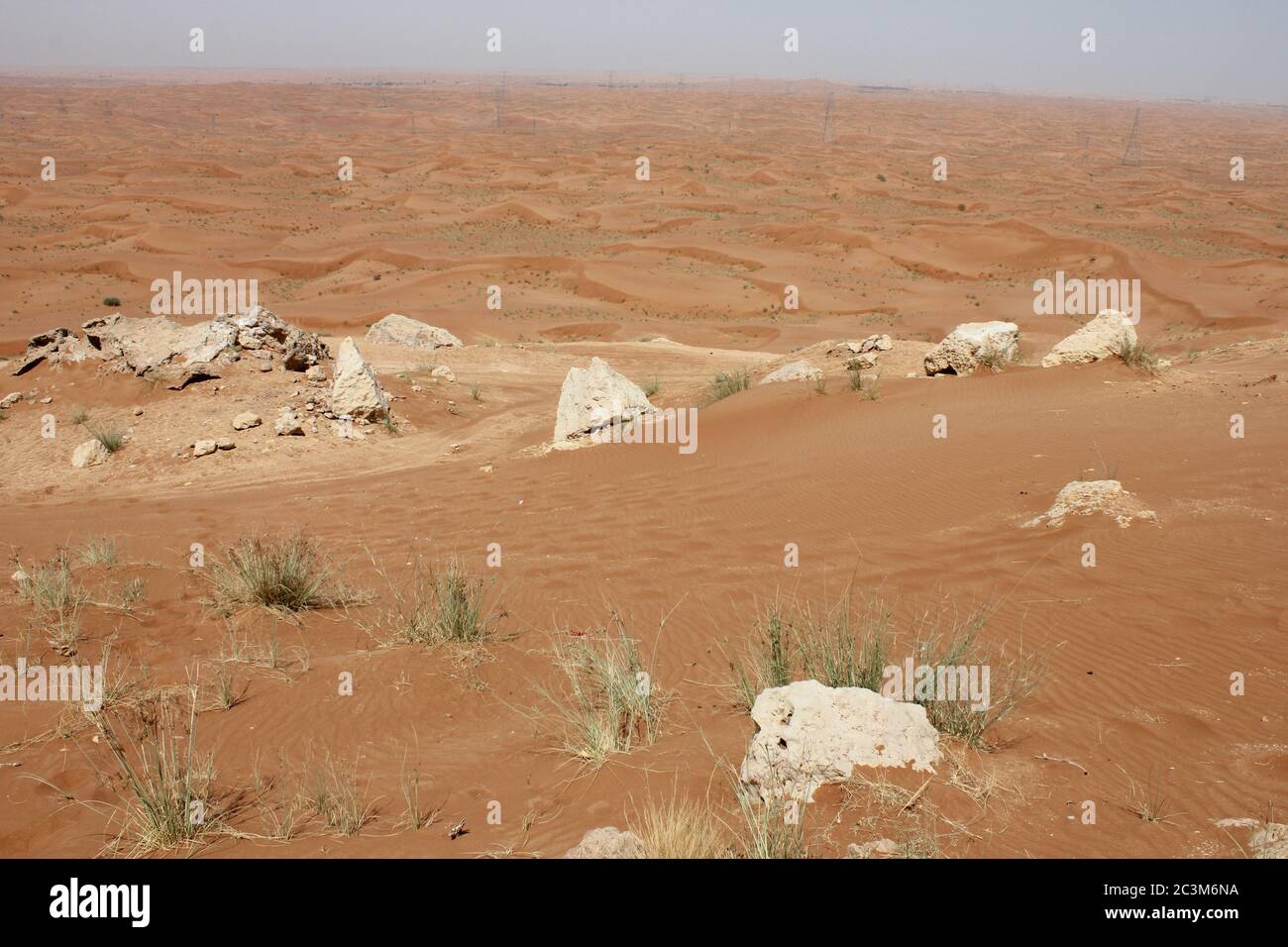 Arabian desert sand dunes ecology/ecosystem. Wind action constantly ...