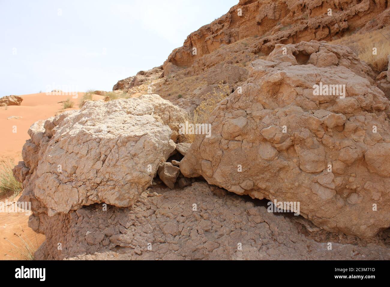 Fossil Rock is an iconic rock formation bearing marine fossils in arid ...