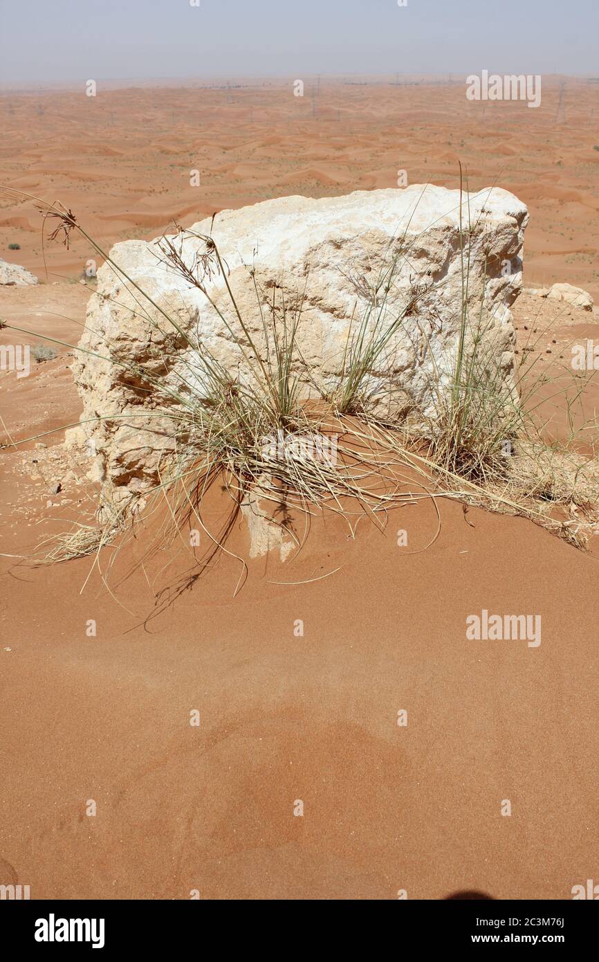 Fossil Rock is an iconic rock formation bearing marine fossils in arid ...