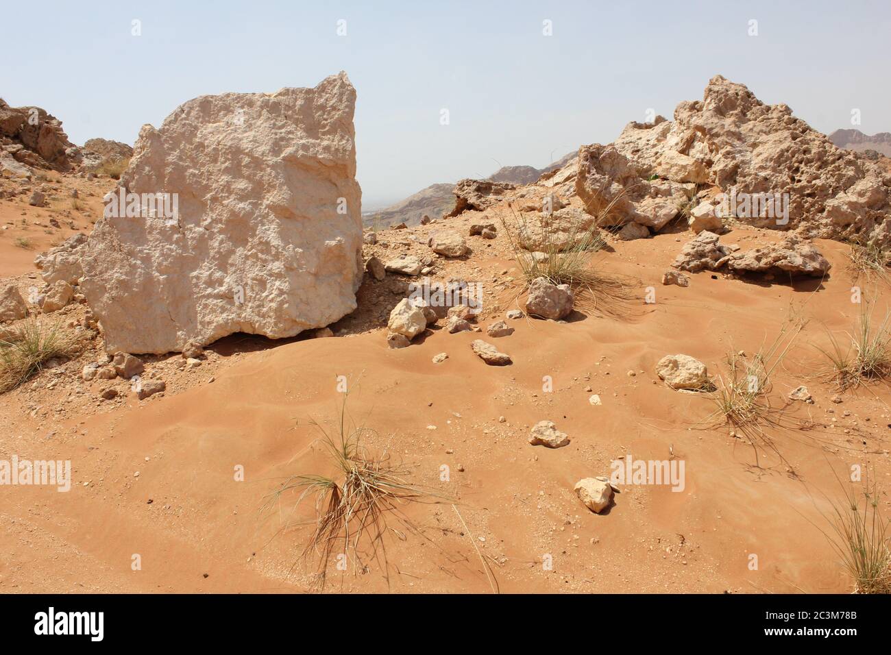 Fossil Rock is an iconic rock formation bearing marine fossils in arid ...