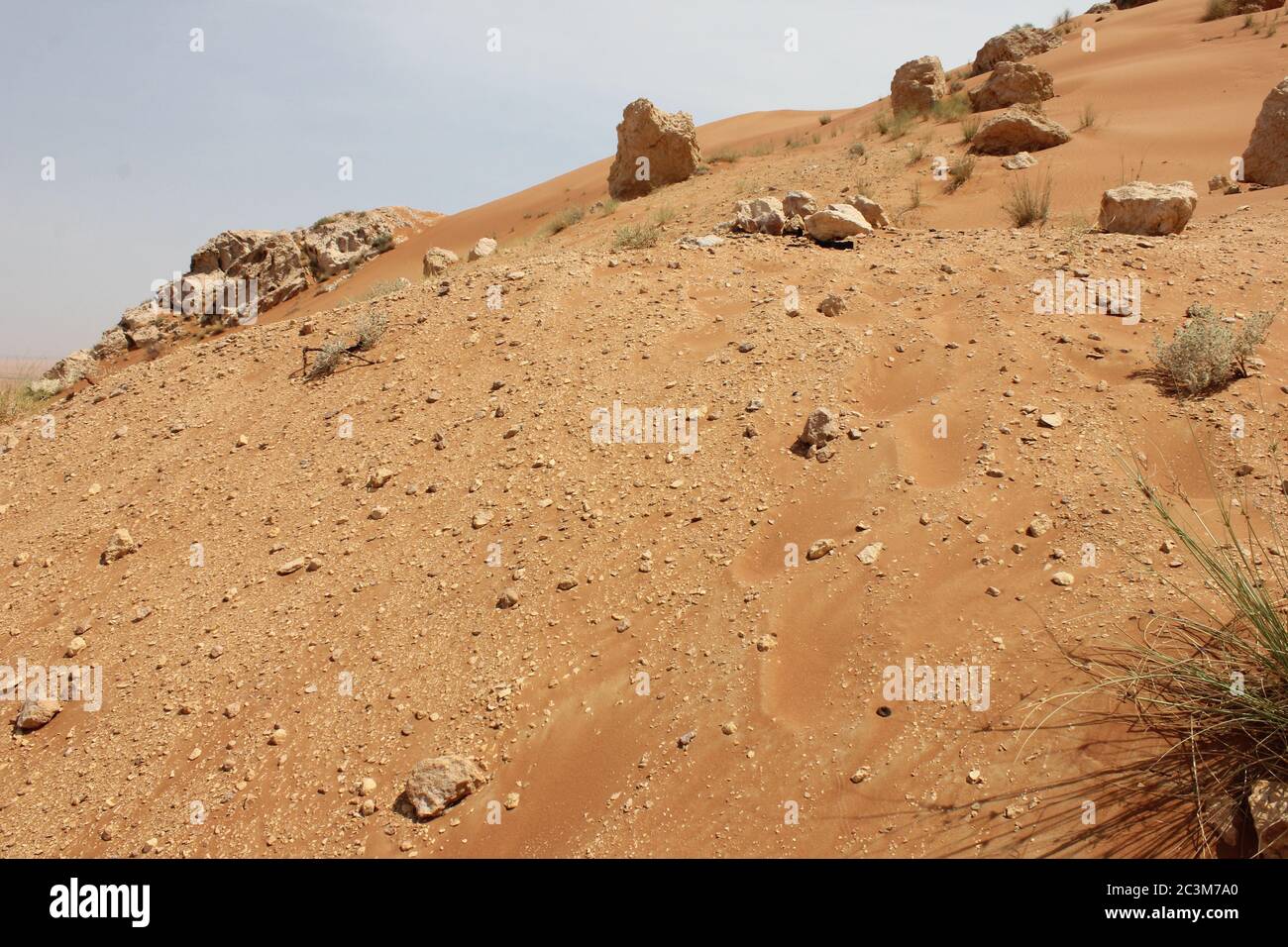 Fossil Rock is an iconic rock formation bearing marine fossils in arid ...