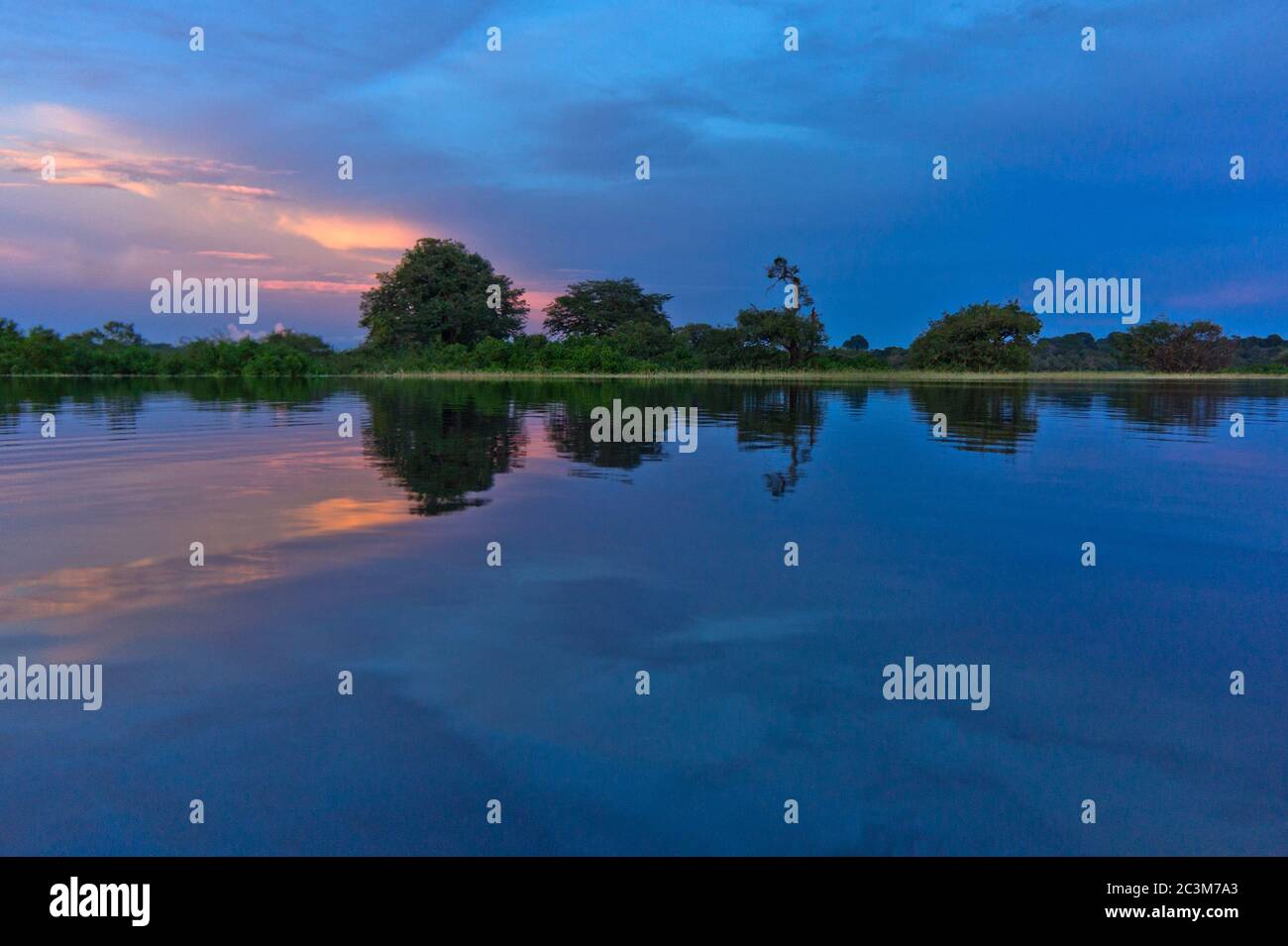 Amazon river view from a riverboat, Amazon Basin, Brazil Stock Photo ...