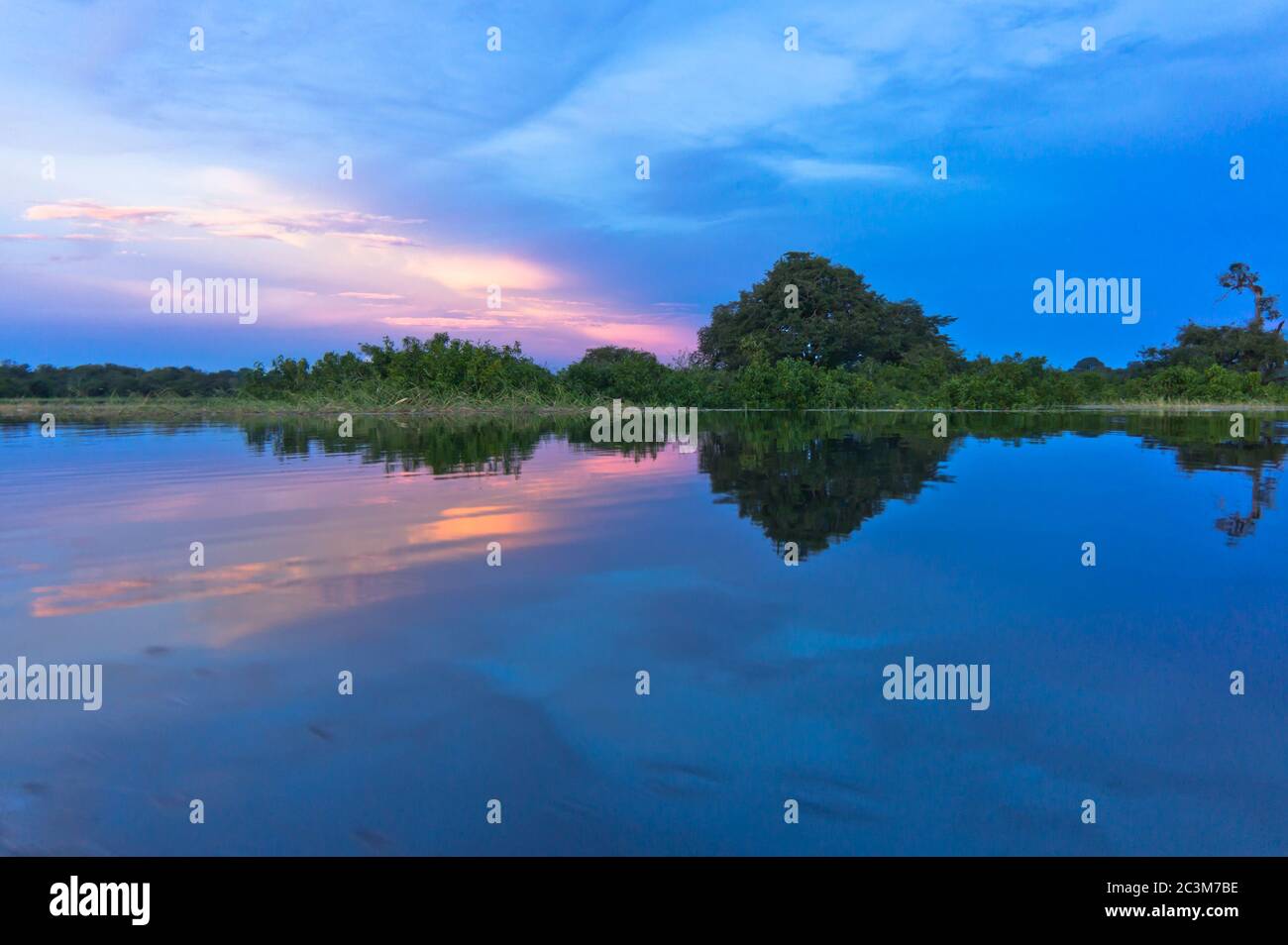 Amazon river view from a riverboat, Amazon Basin, Brazil Stock Photo ...