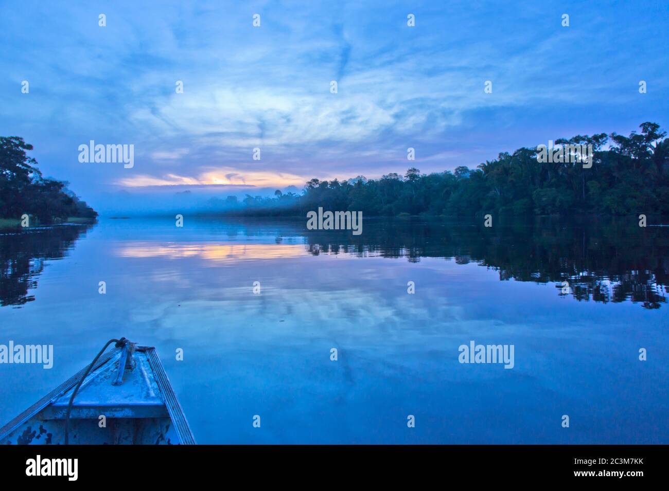 Basins Amazon Waters