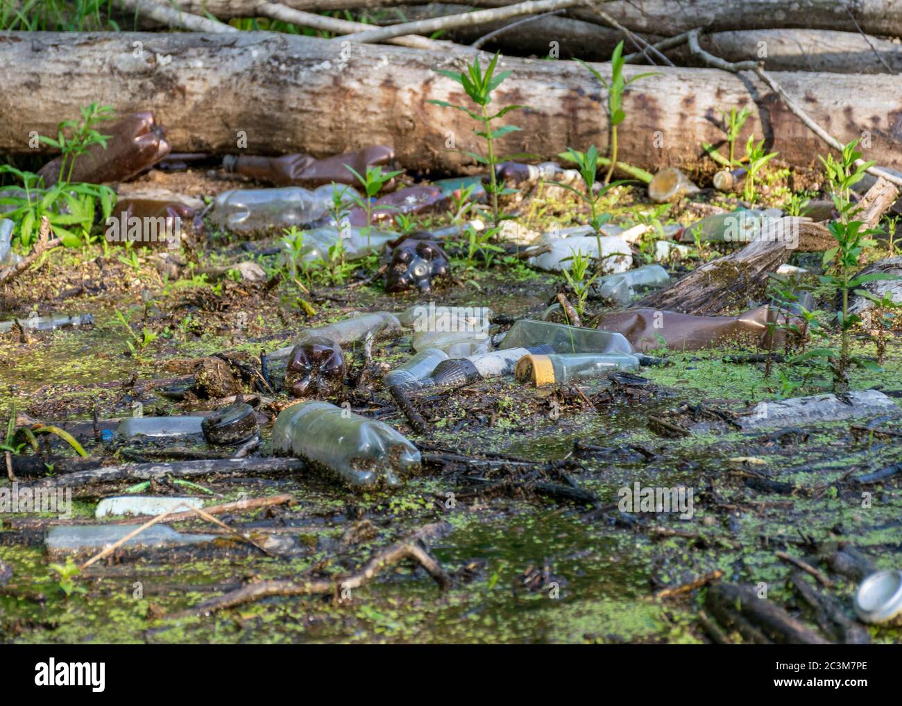 Fallen logs in water hi-res stock photography and images - Alamy
