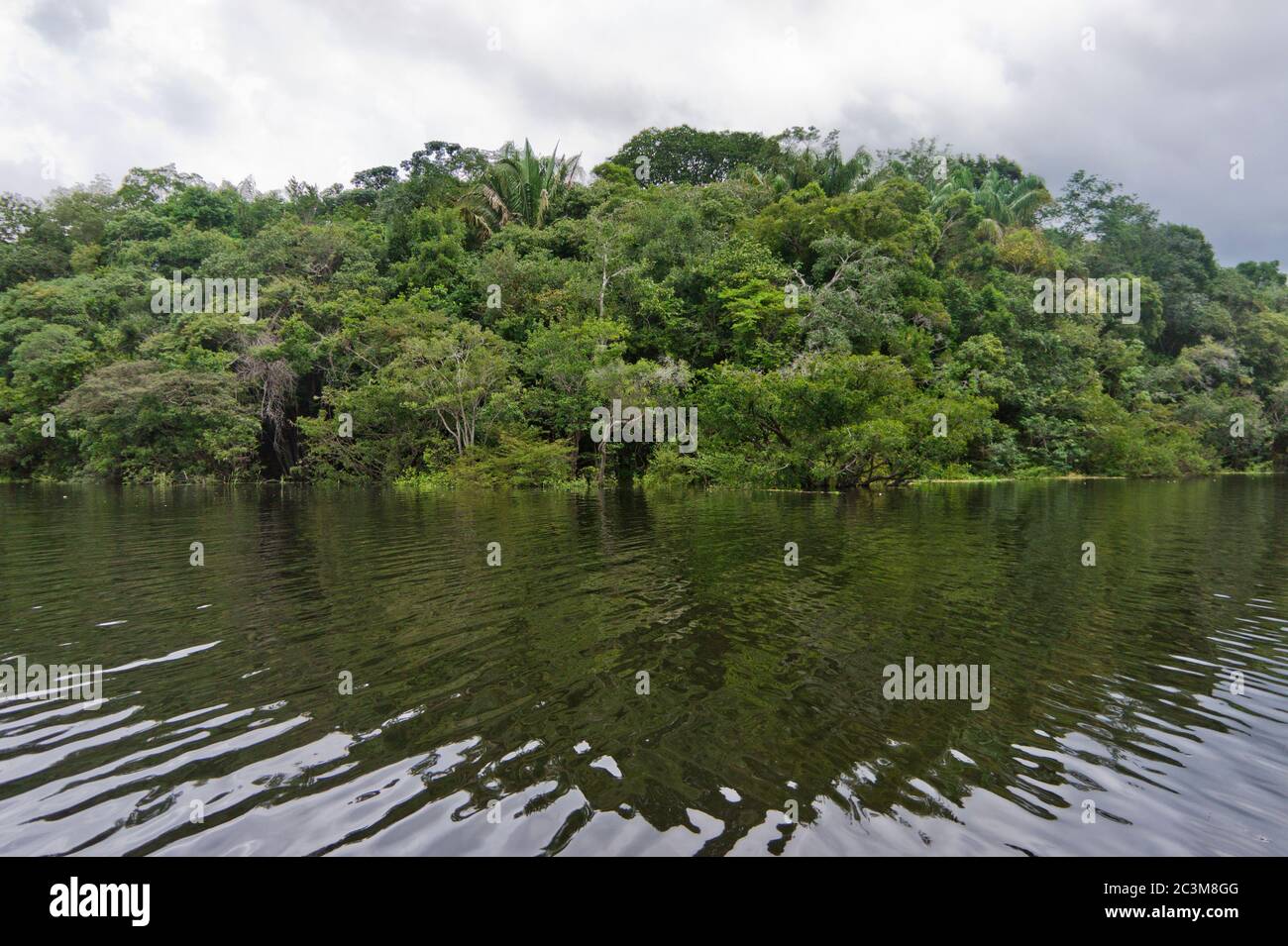 Amazon river view from a riverboat, Amazon Basin, Brazil Stock Photo ...