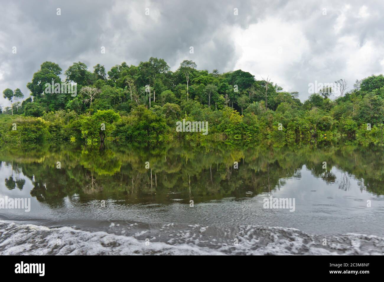 Amazon river view from a riverboat, Amazon Basin, Brazil Stock Photo ...