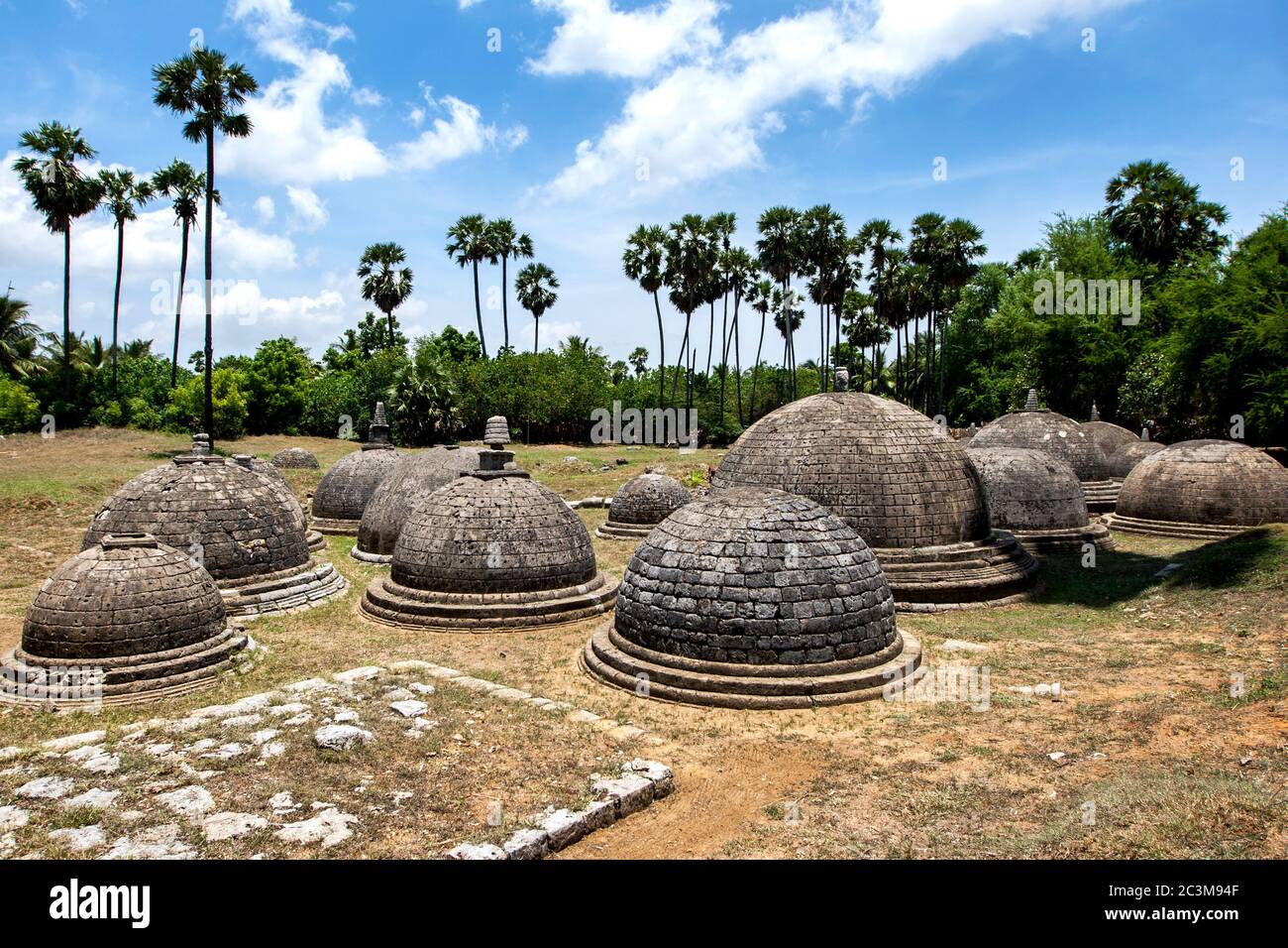 A section of the 20 visible stupas at Kathurugoda (Kantharodai) Ancient ...