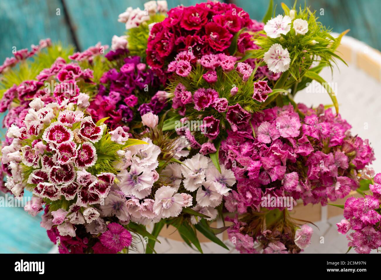 White flowres hi-res stock photography and images - Alamy