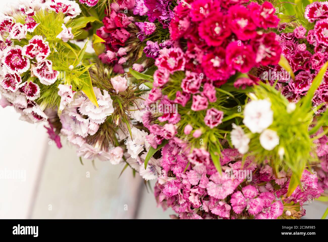 Beautiful fresh spring flowres Stock Photo - Alamy