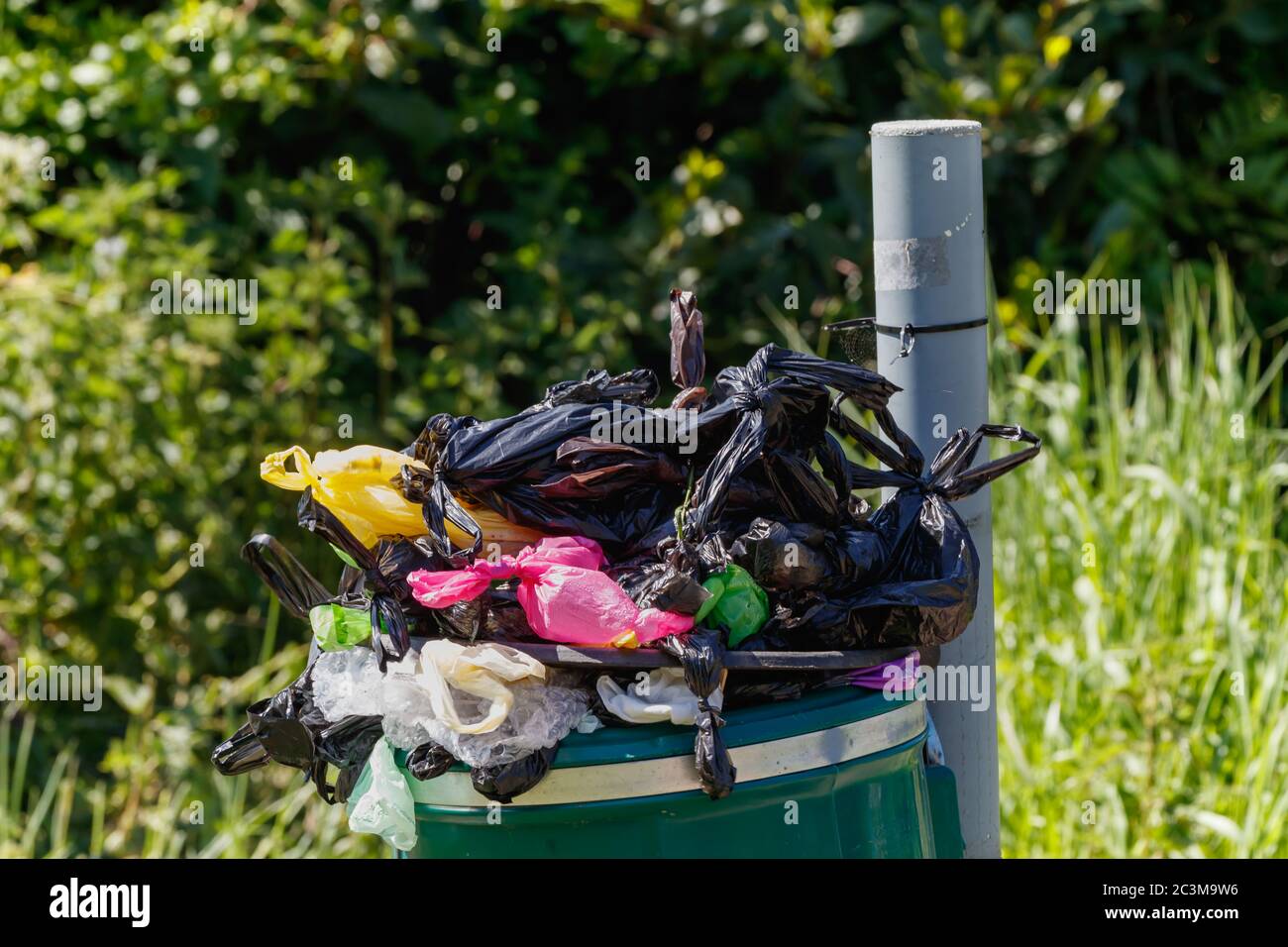 Dog Poo waste bags Stock Photo - Alamy