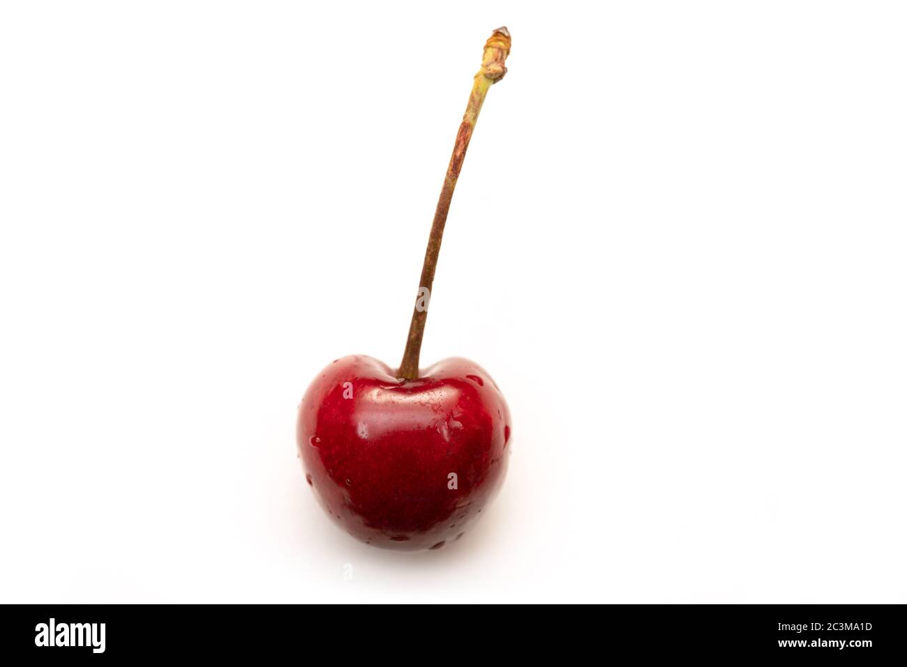 Single cherry with stem Stock Photo - Alamy