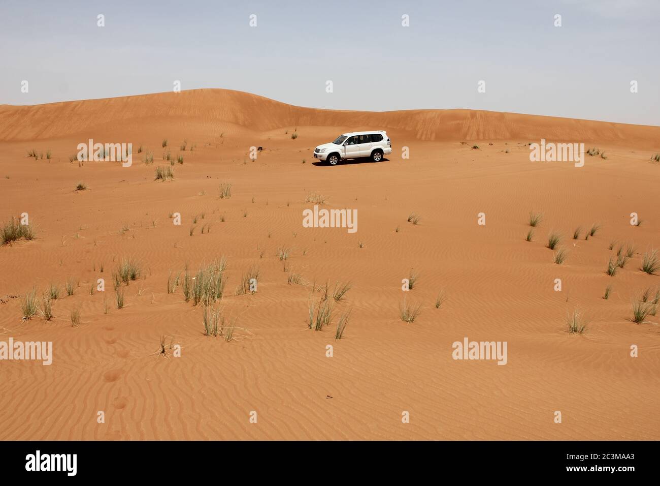 Toyota Prado 4WD (four wheel drive) vehicle, SUV, goes off-road in huge ...